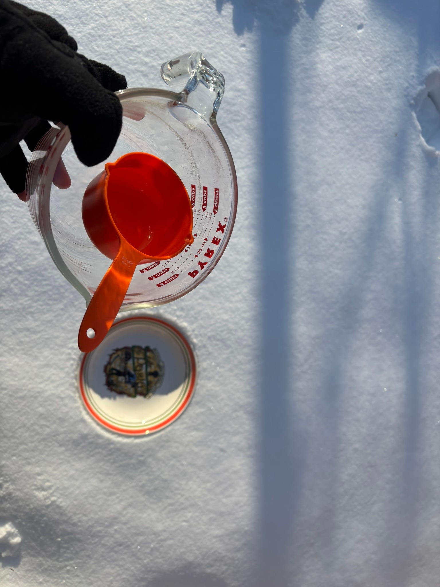 On Snow and Identity - by Marcella Ciccotelli