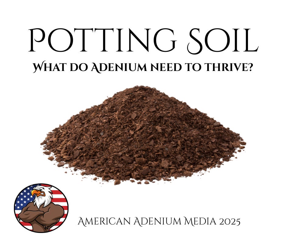 Potting Media & Containers: Building the Perfect Home – American Adenium