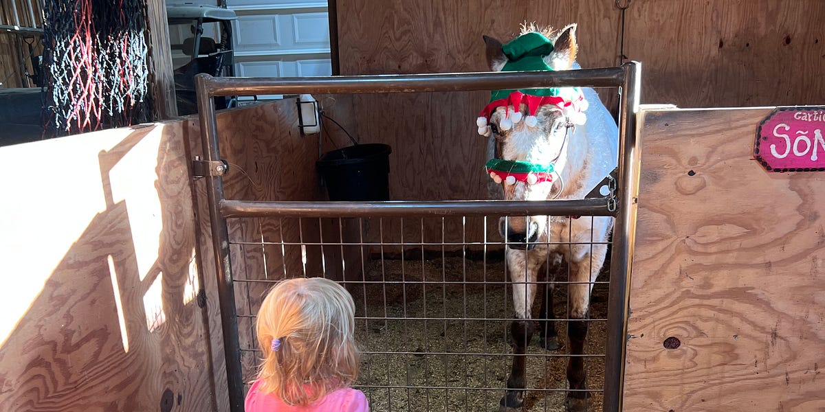 How to not buy a child every single thing she wants