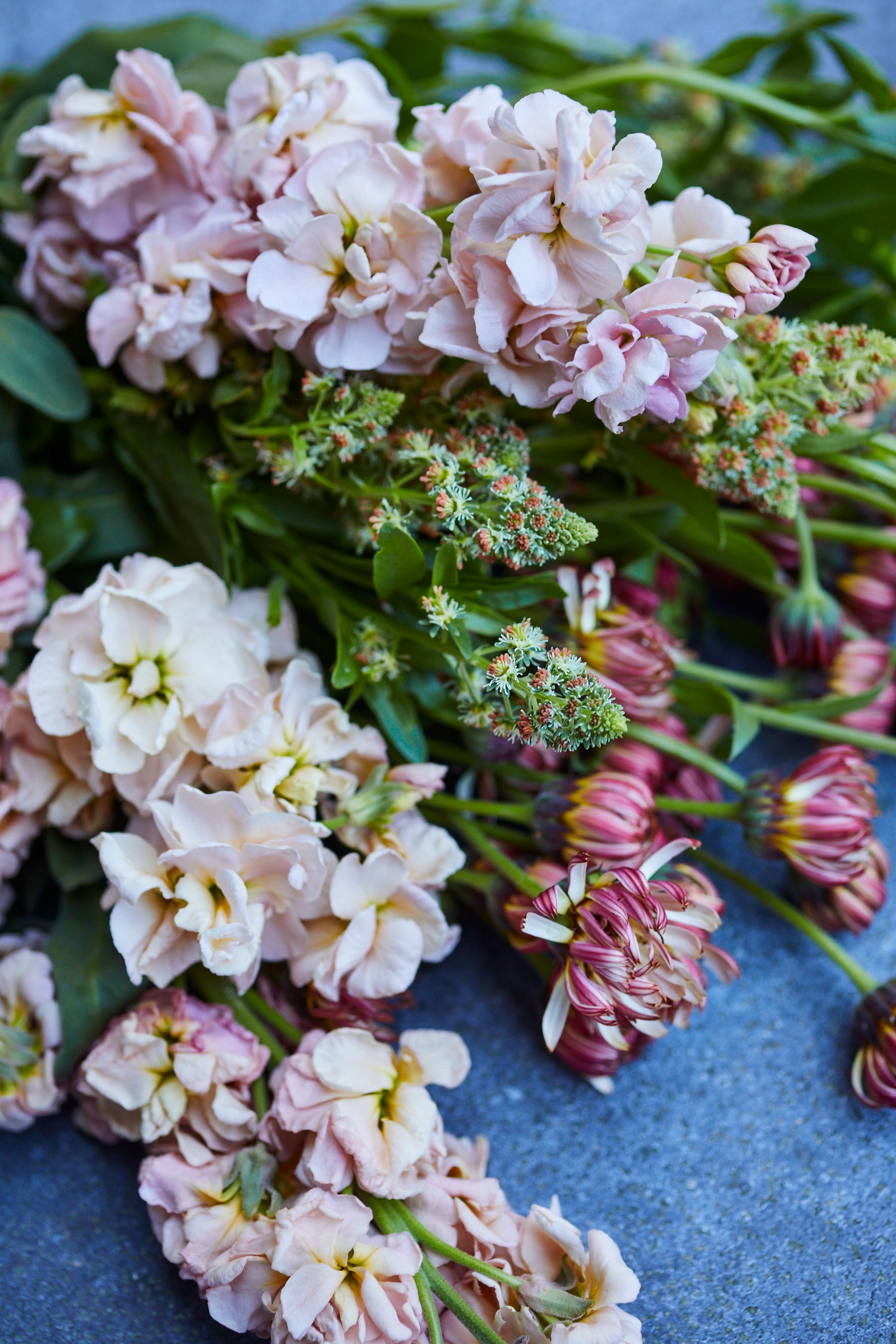 The Fragrant Flower Garden - by Stefani Bittner