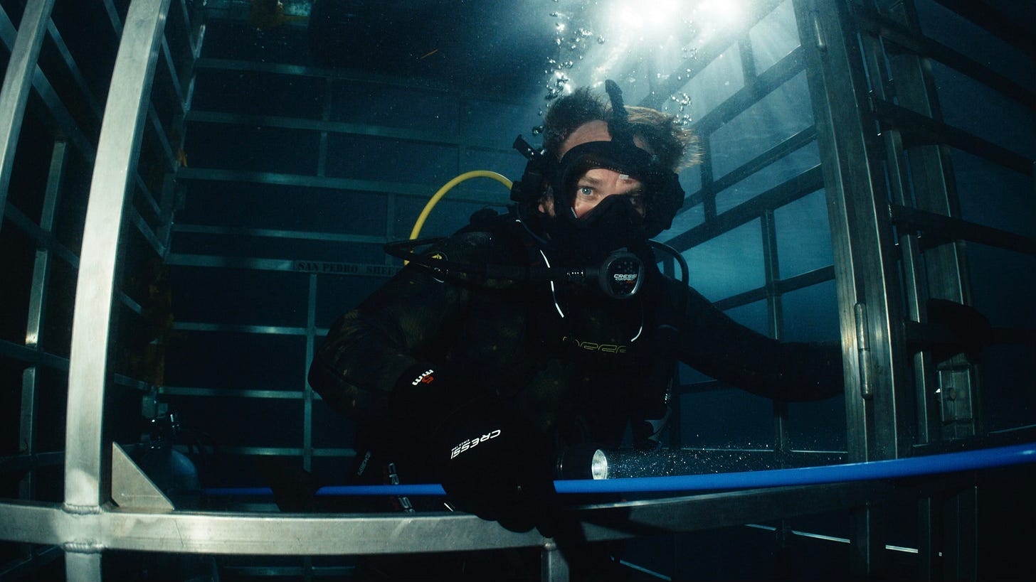 Marine Biologist Kendyl Berna On The Mystery Of 'Black Mako Of The Abyss'