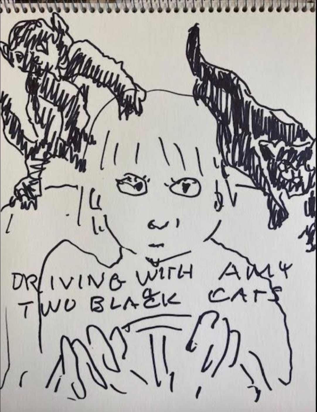 Wondering, What's the Value of a Purring Cat?