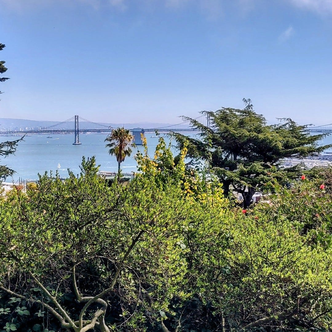 Arizona Sunshine | Substack