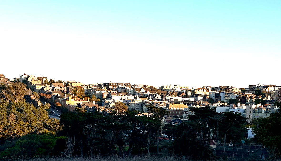 Spring, Sprang, Sprung - My Plastic Camera by Annie Wilson