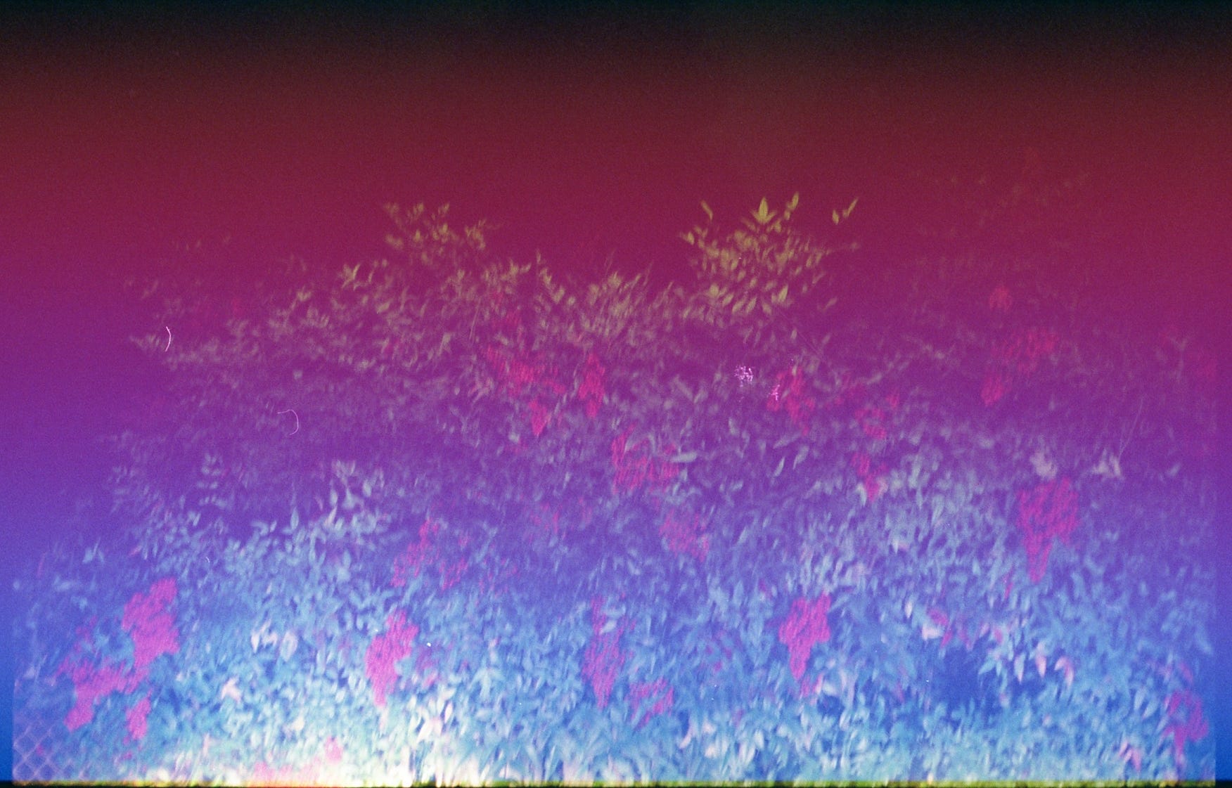 ESSAY: A Bright Hate - by Ken Baumann and Zona Motel