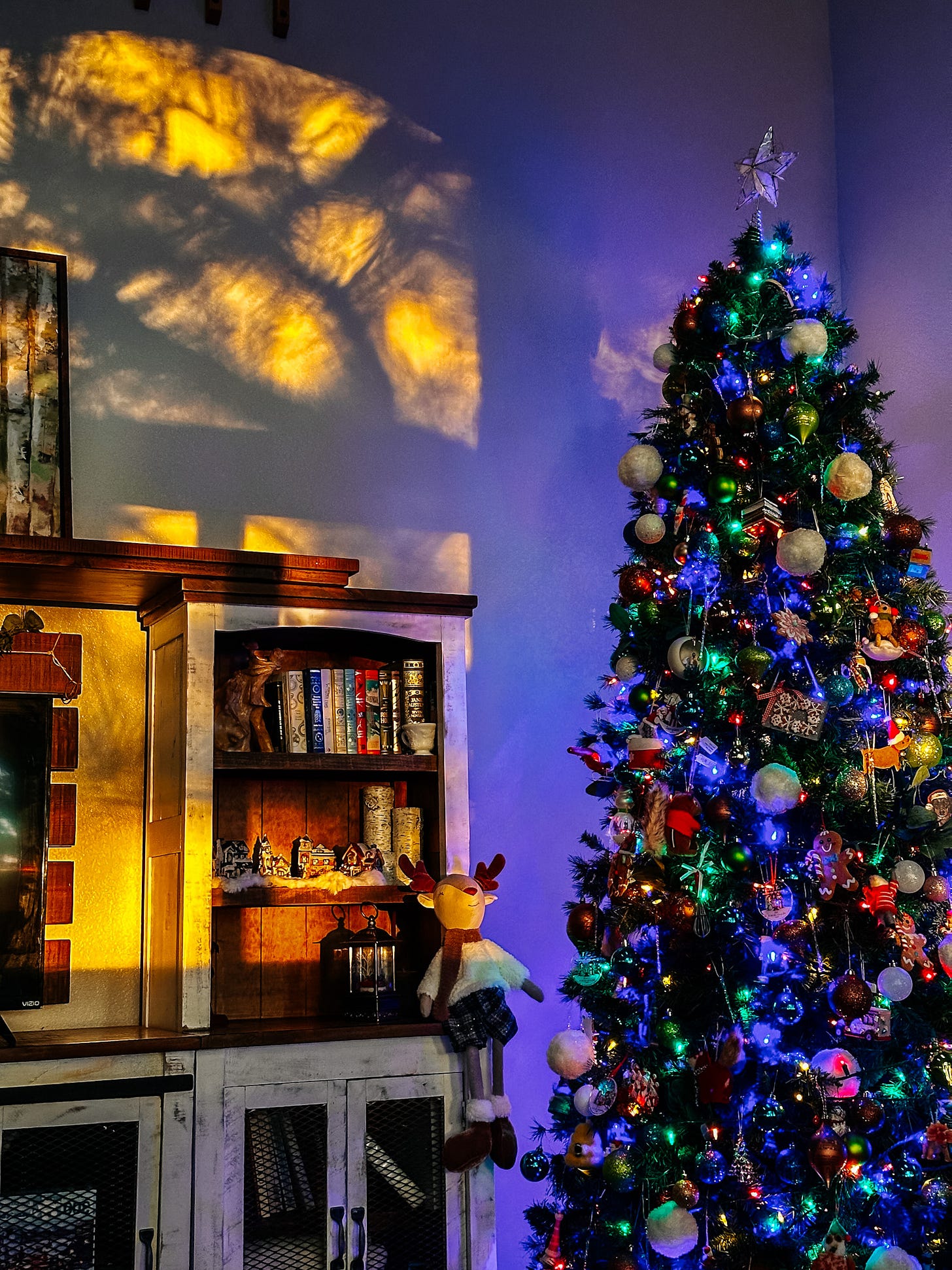 Leaving The Tree Up - by Callie