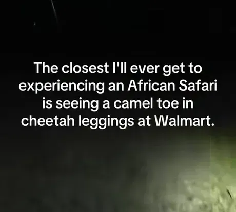 Memes and Funny Pics LXX