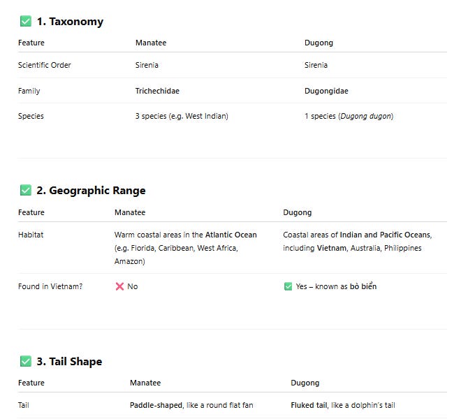 Dugong - by RetoK - Chiankhanh