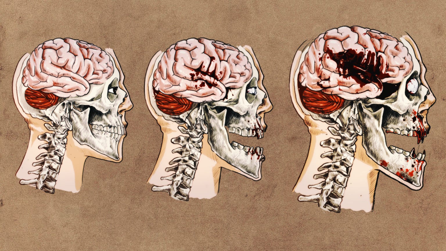 The Biological Horror of Vampires - by Thought Potato