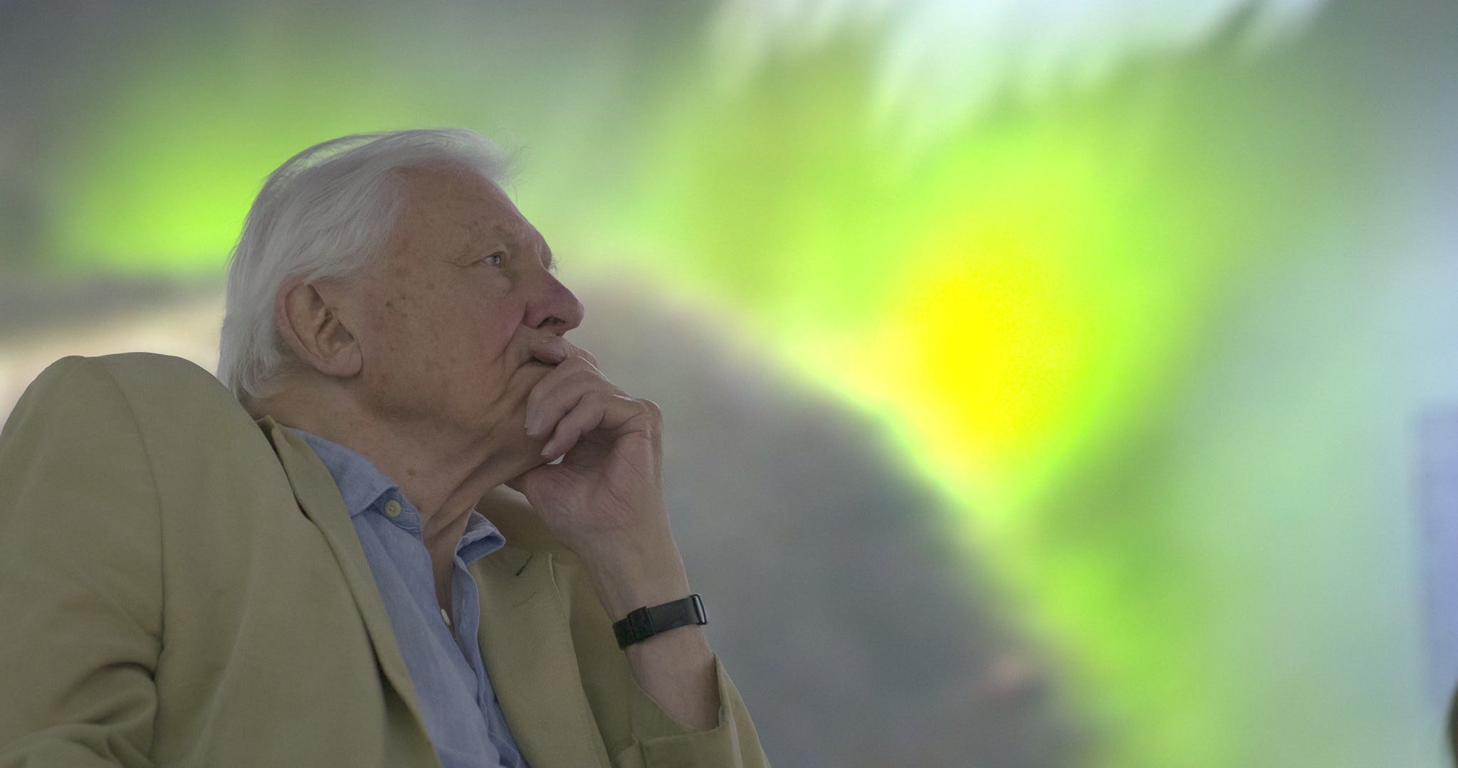 David Attenborough's museum experience - maxwell museums