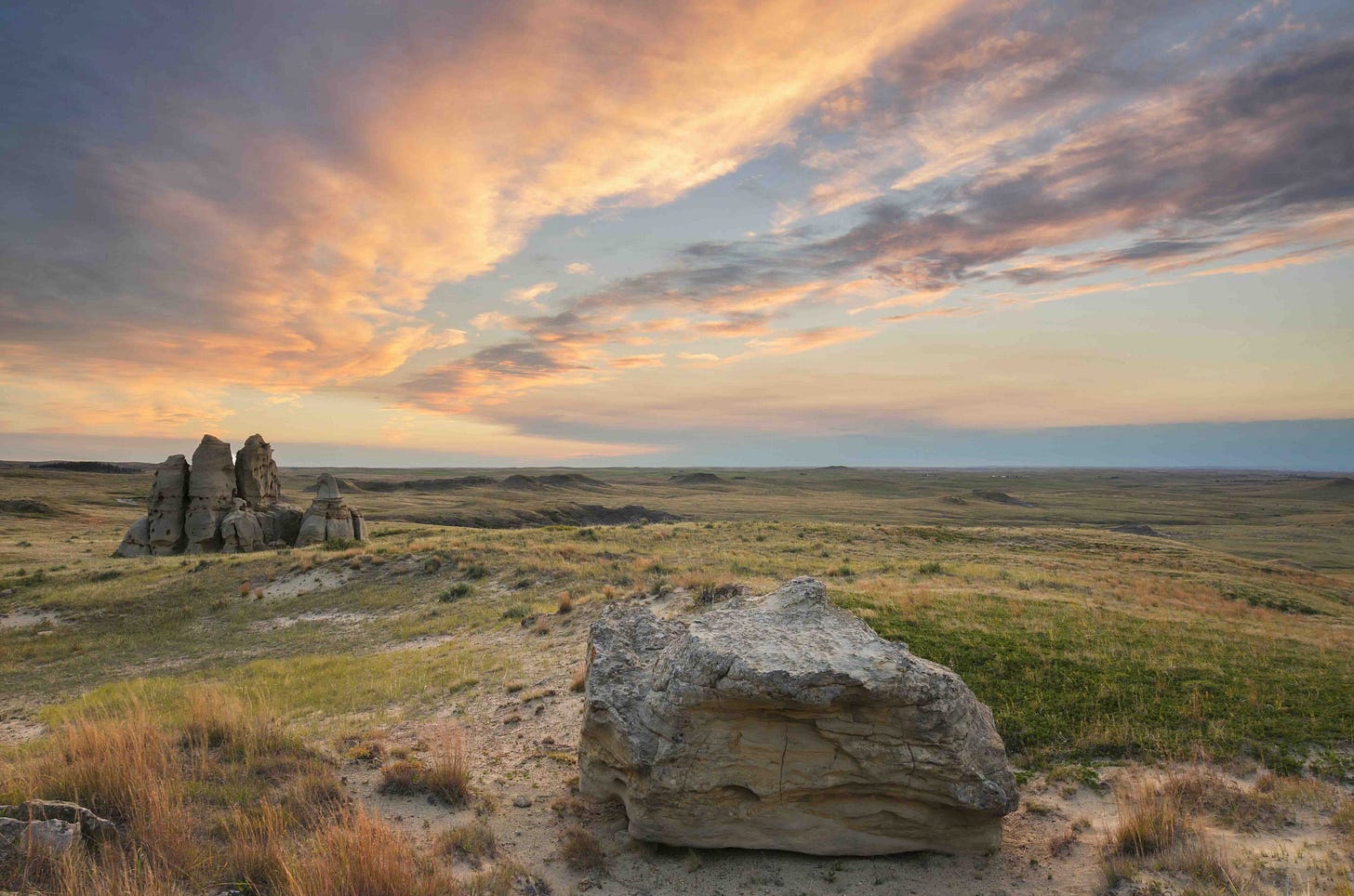 Don't Mess with Montana - by Reilly Neill - Life of Reilly