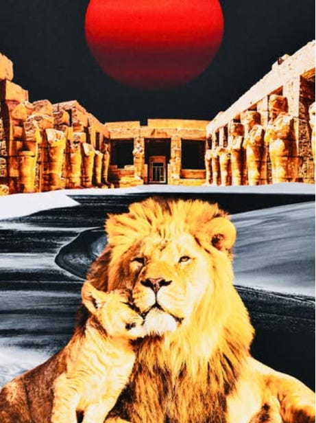 July 20-27 2025: Fanning the Flames - Lorna Bevan