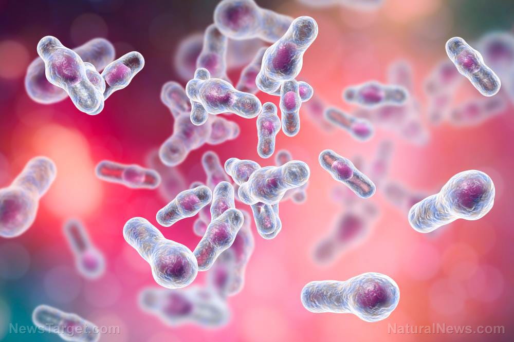 Scientists Discover Bacterial Sugar as Key Target to Combat Deadly ...