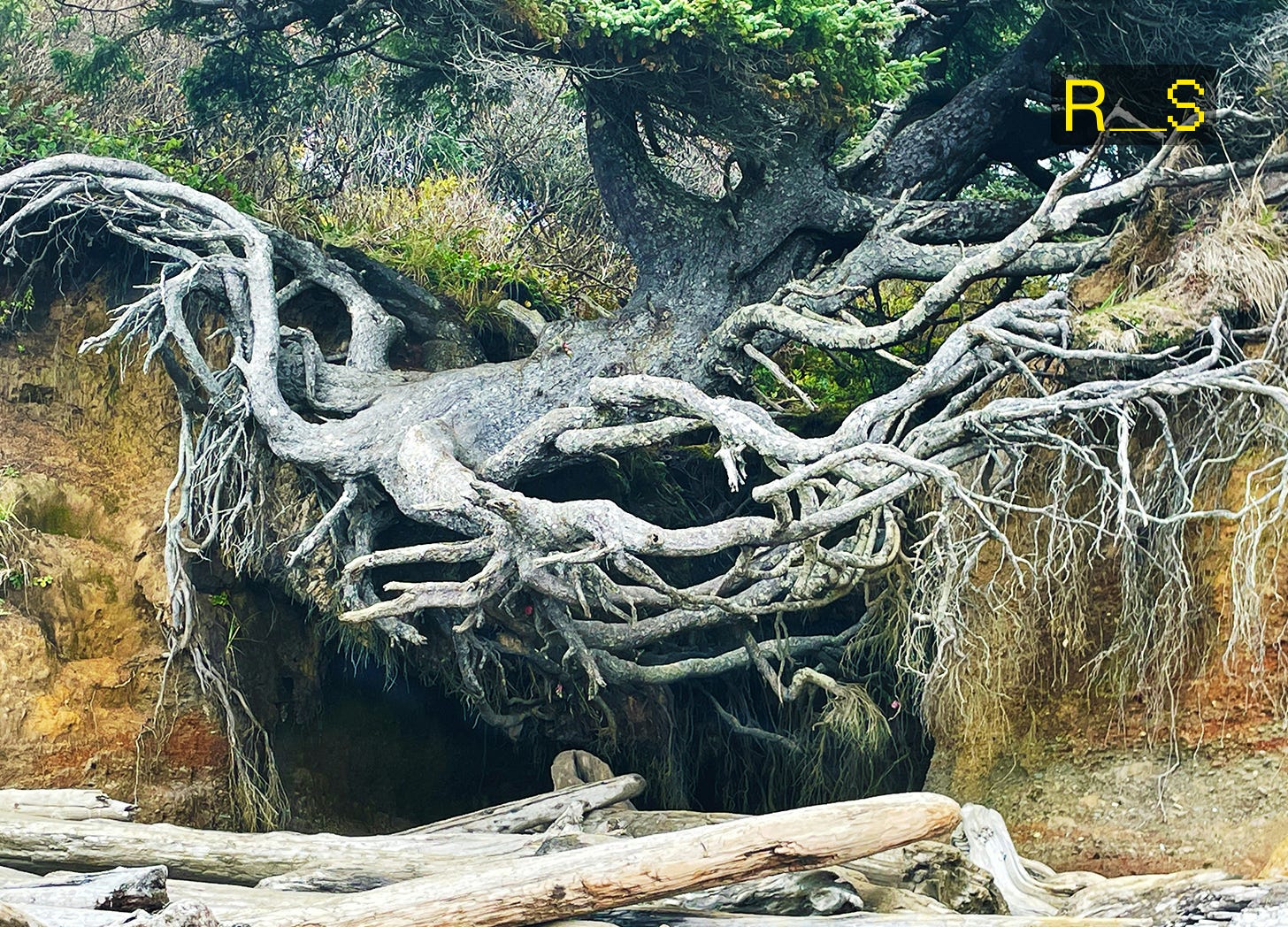 Resilience Explained: Your Comprehensive FAQ