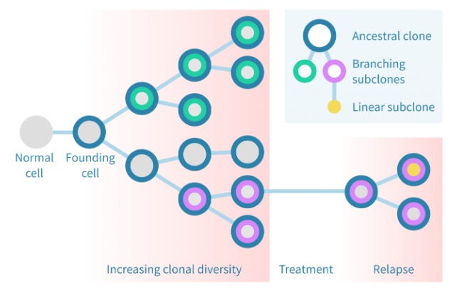 MyClone: Cloning, Elevated - by Aishwarya Kamineni