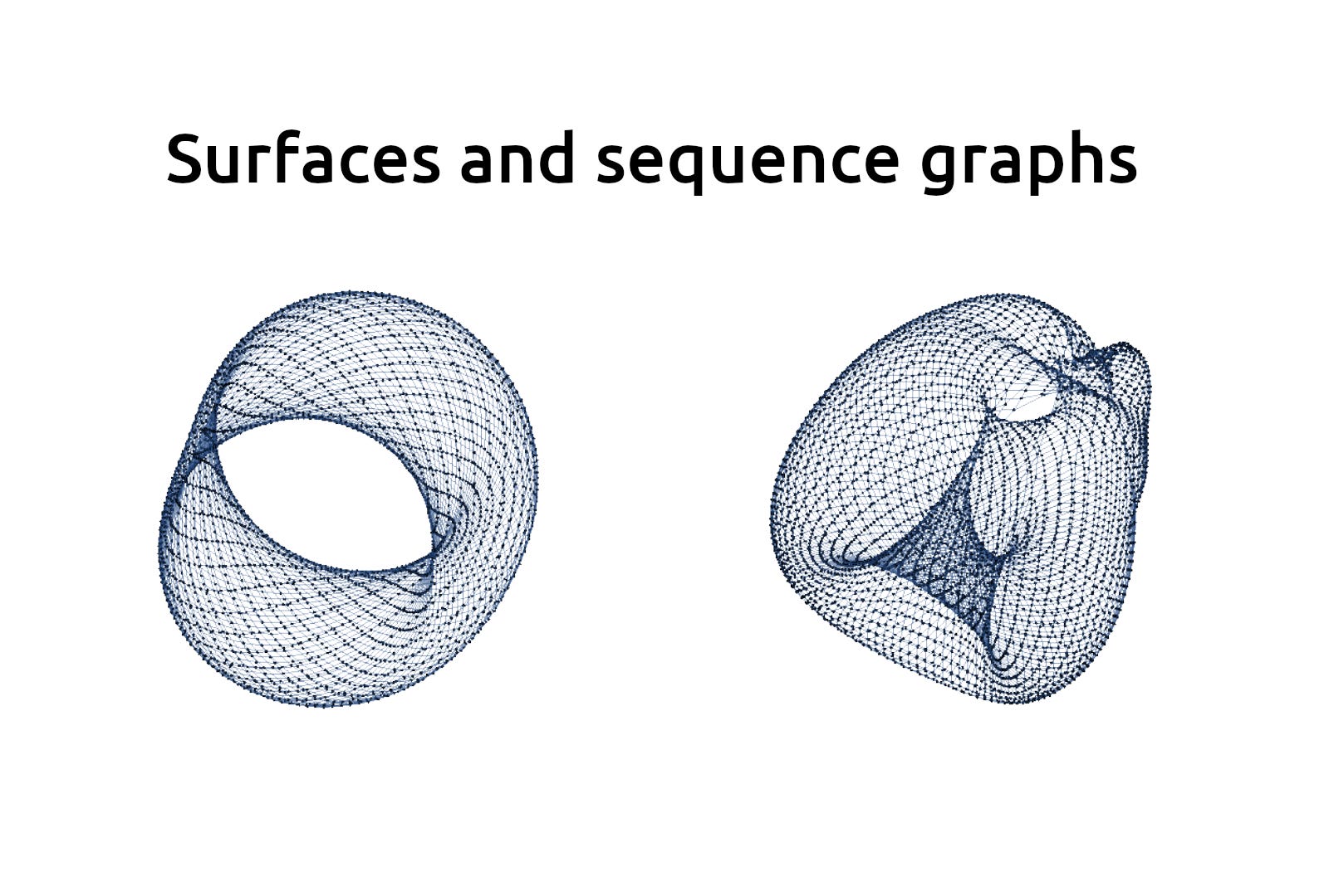 Surfaces and sequence graphs - by Richard Green