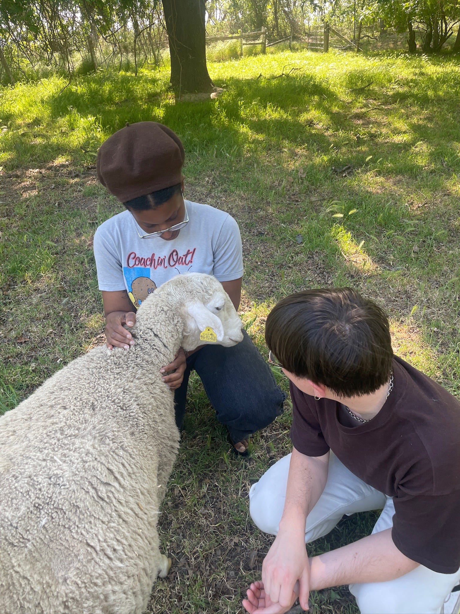 January 2026 - Social Studies Residency's Substack