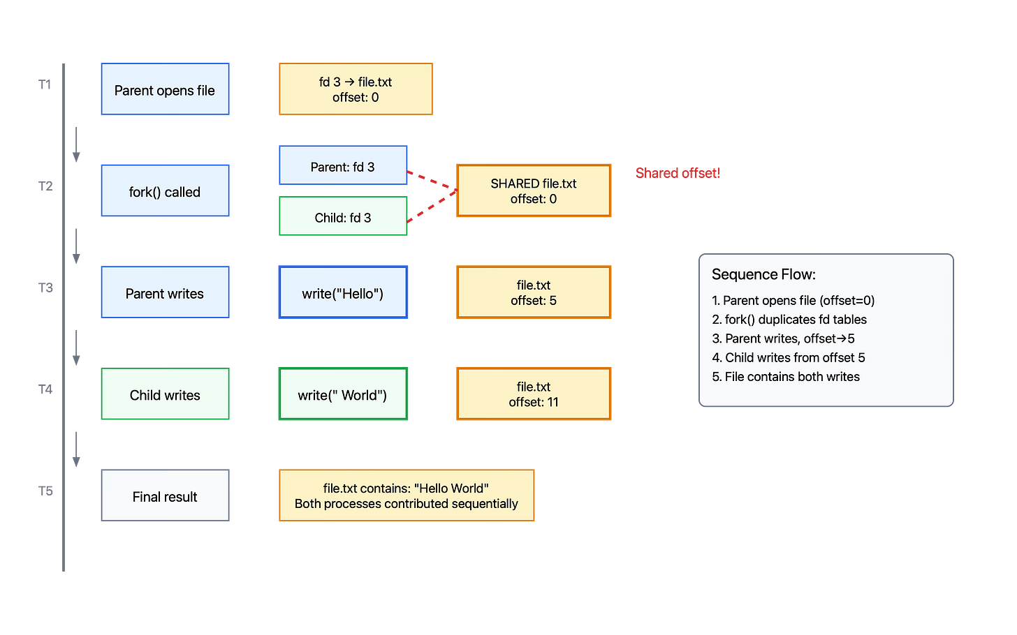 Fork() and File Descriptors: The Unix Gotcha Every Developer Should Know