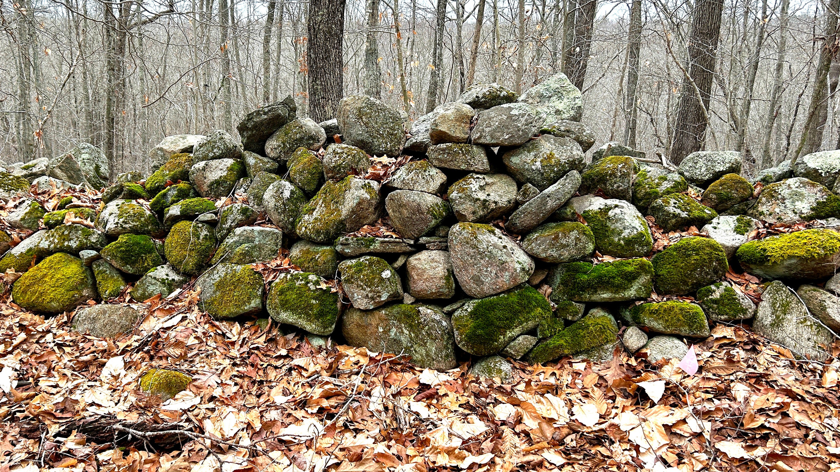 Surrounded Stones - by Mike Luoma - Ancient Stone Mysteries