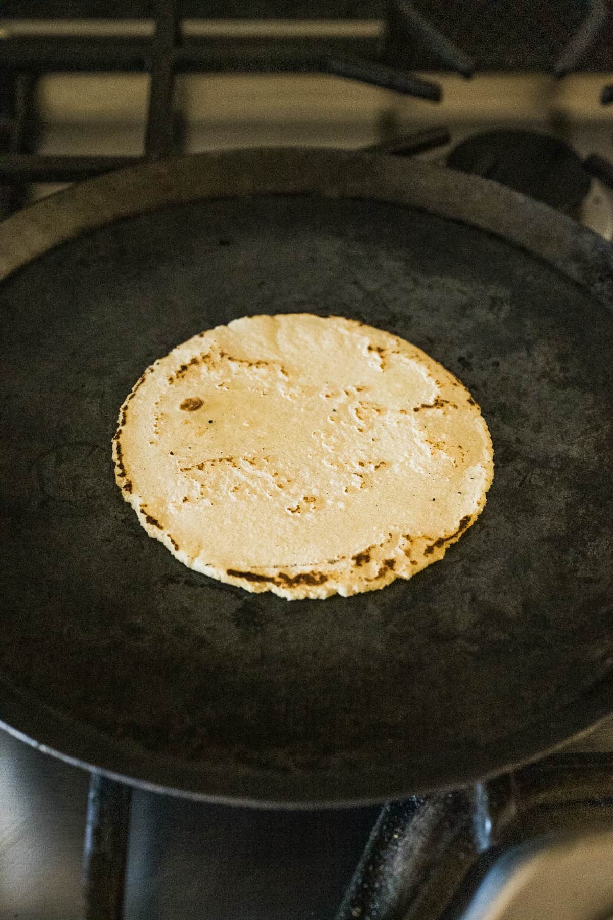 Corn Tortillas - by andrew gruel - American Gravy