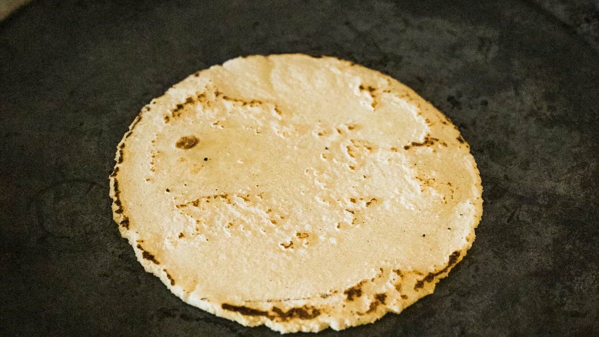 Corn Tortillas - by andrew gruel - American Gravy