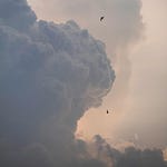 yrsa daley ward substack