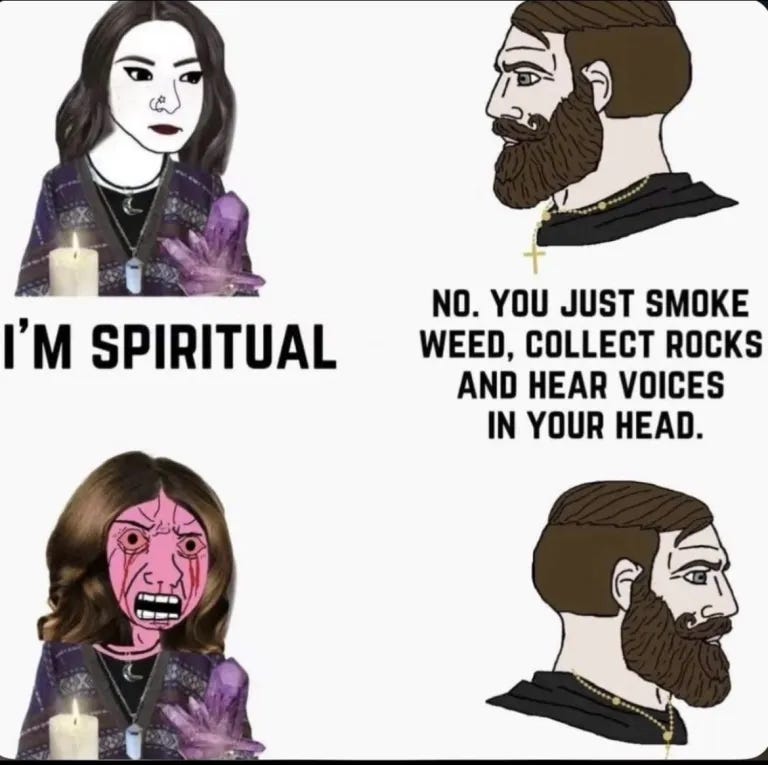 Ann Barnhardt Meme Barrage - Edwin’s Newsletter #1