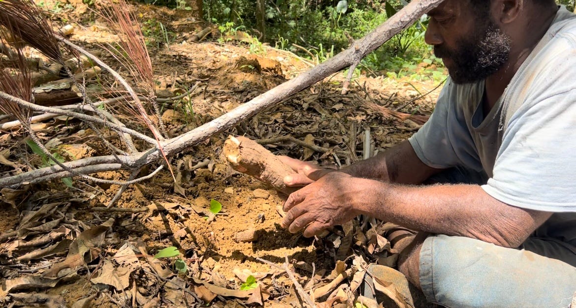 #11 How to Prepare a Traditional Fijian Lovo