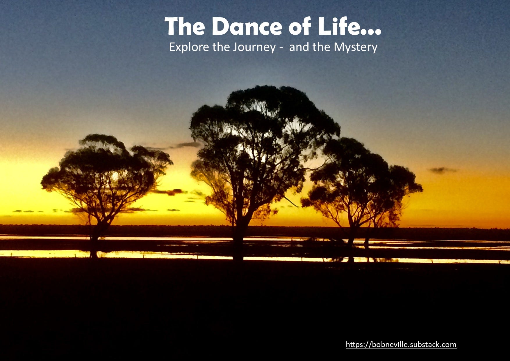 The Dance of Life - Series 7 - by Bob Neville