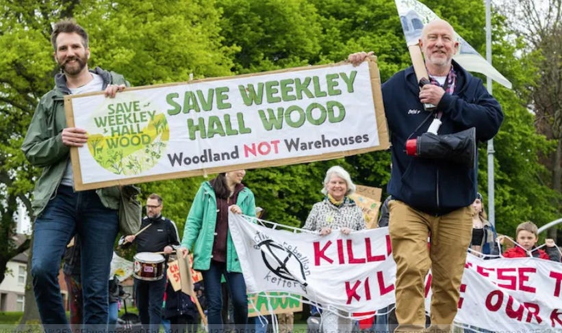 The ambitions of the Green Party - NN Journal