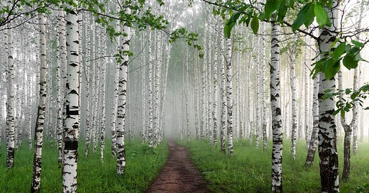 Scott Stillman | Substack