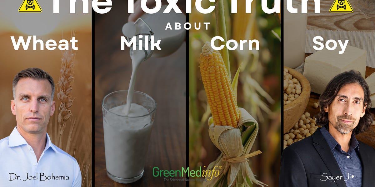 The Toxic Truth About Wheat, Dairy, Corn and Soy.