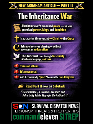 Chris Heaven Substack