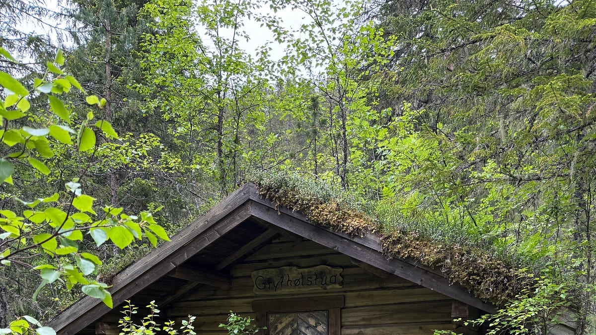Torvtak: The Grass Roofs of Norway - by Andrea Copeland