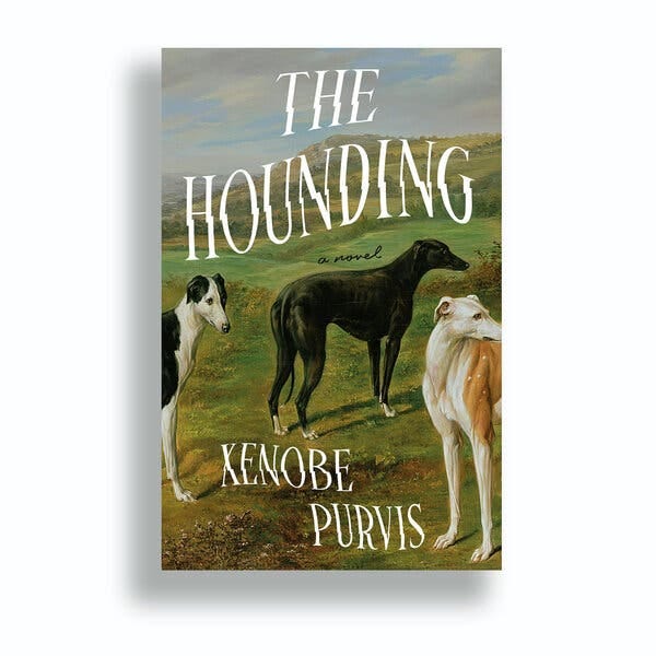 The Blessed Return of WHAT ARE YOU READING?