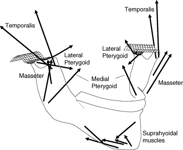 The Pterygoids - Vitae Aether