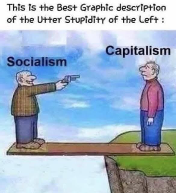 One meme is worth a thousand-page comparative economics text | STRAIGHT ...