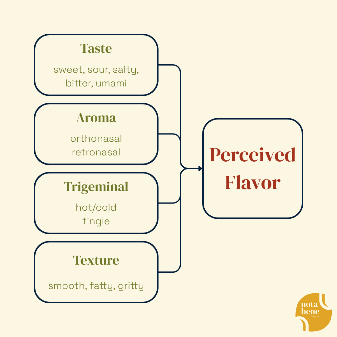 What is Flavor? - by Michael - The Flavor Note Book
