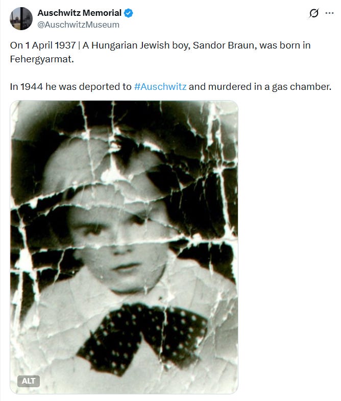 The Auschwitz Memorial Museum's Odd Claims about Sandor Braun