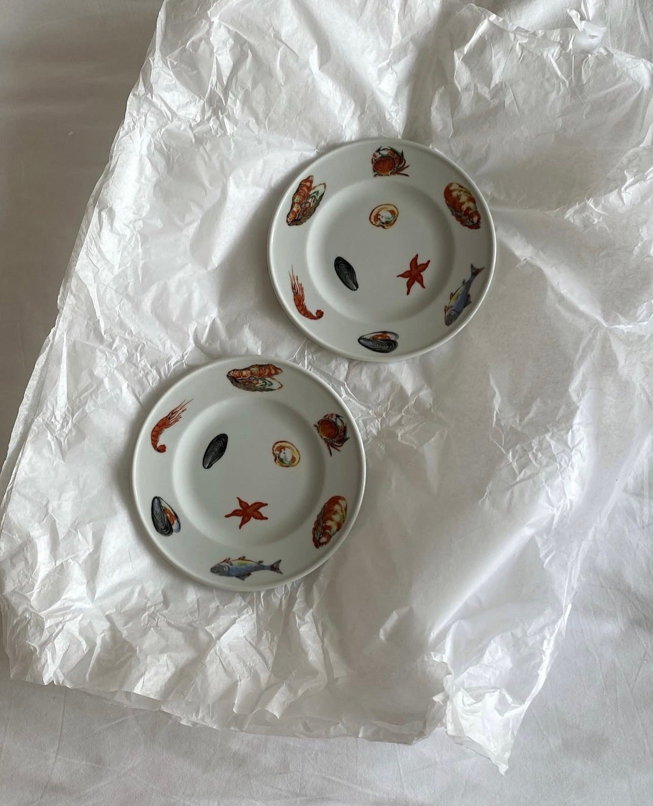 Carina Cornelia Nicklas | Substack