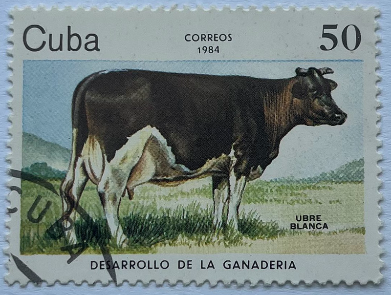 January 25 - The Legend of Ubre Blanca: Fidel Castro’s Dairy Obsession