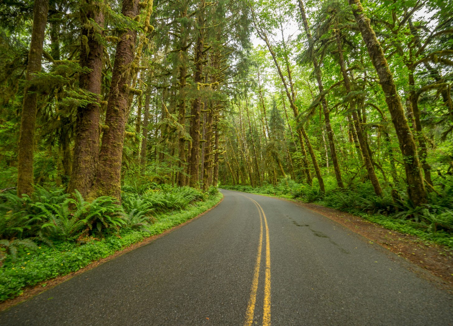 Polyvagal Theory is Dead. Now What? - by Sukie Baxter