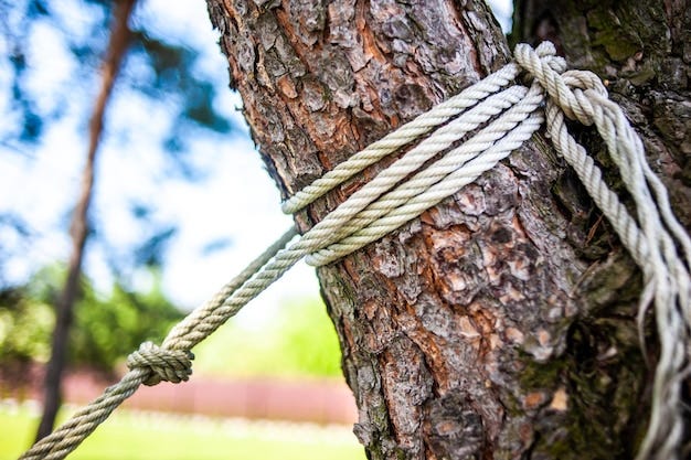 SAY HER NAME - Qisma Ali Omar - FreeVerseMedia Substack