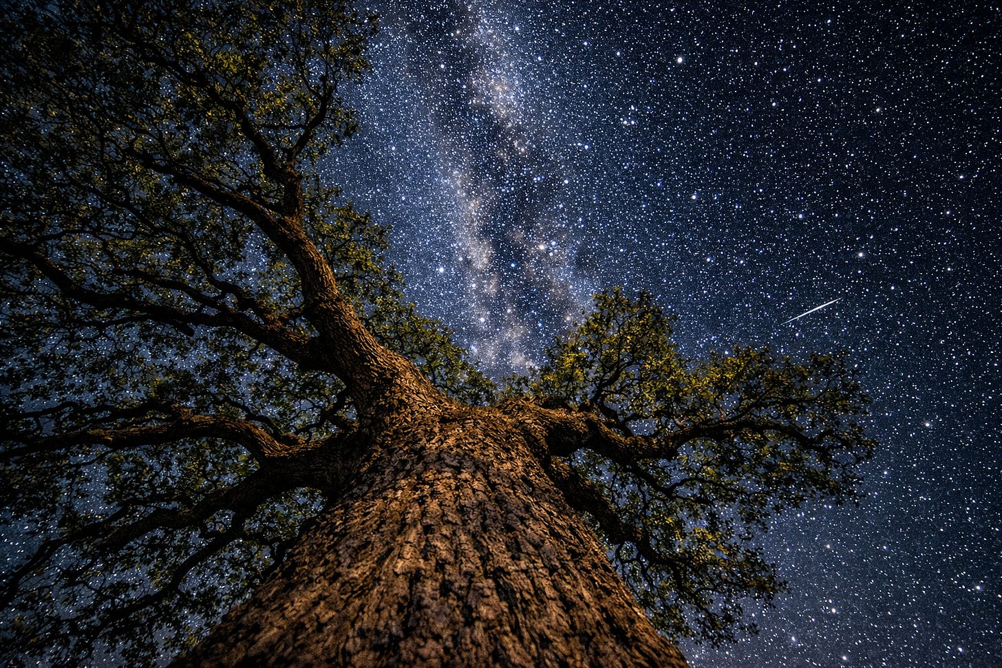 There’s no scientific evidence that consciousness exists. – Footnotes2Plato