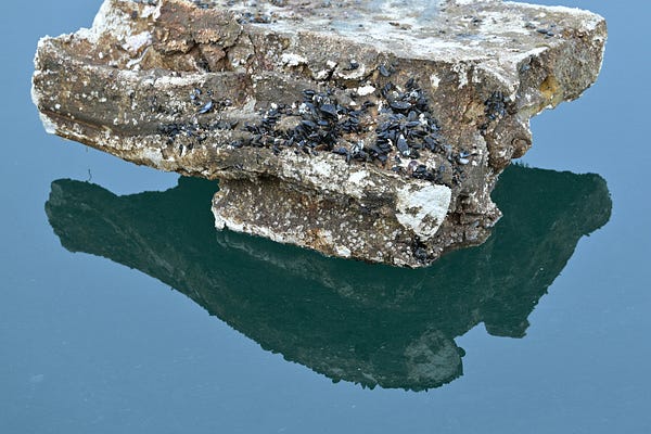 Decouple | Chris Keefer | Substack