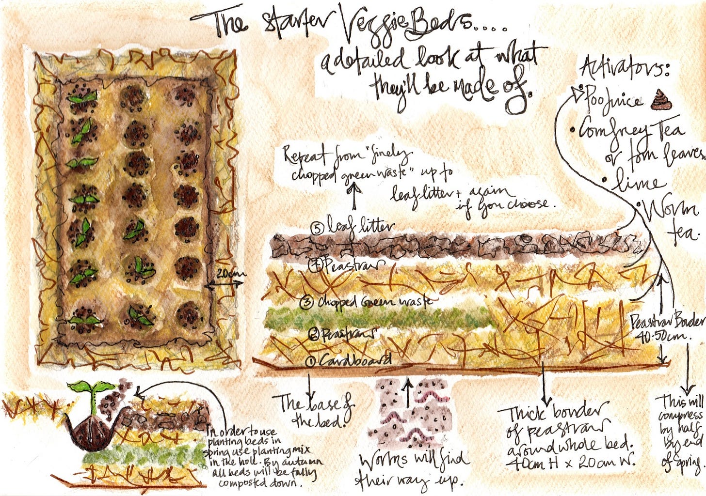 vegetable garden layout drawing