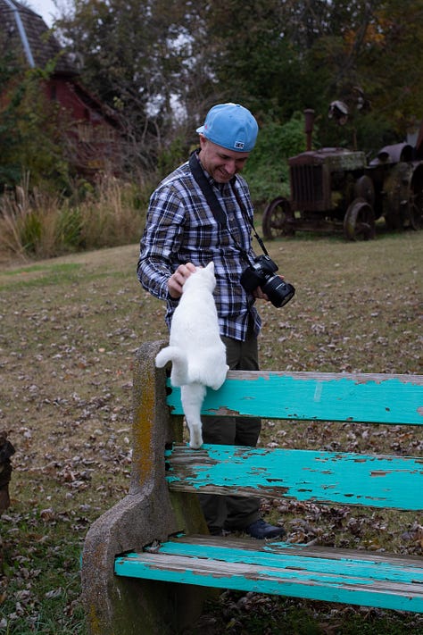 The Cats I Met on Route 66 - A Good Time with Casey Barber