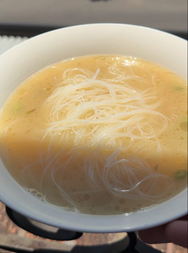 Chicken rice noodle soup with spring vegetables