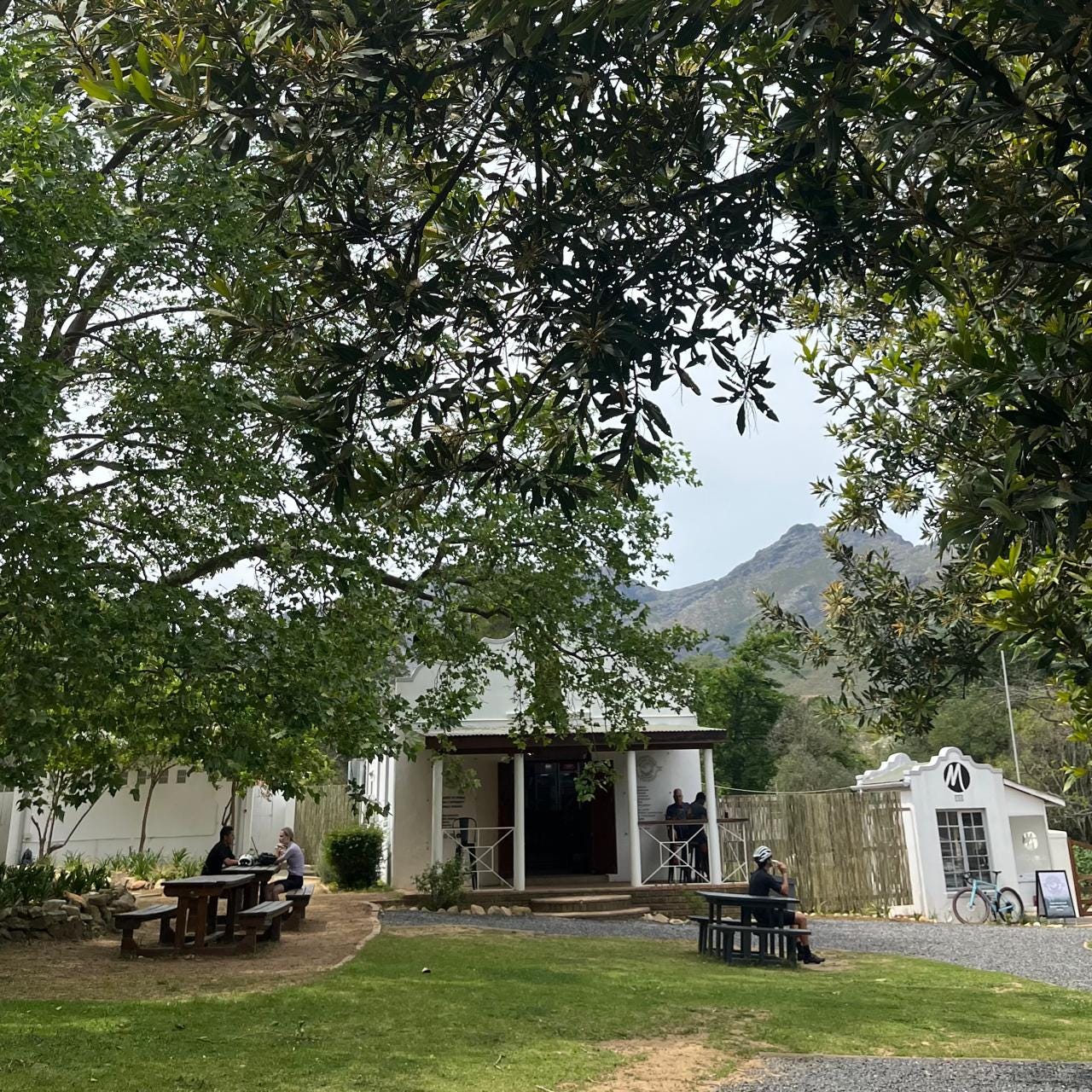 Listening to the birds - by Lindsay Foss - Tuesdays