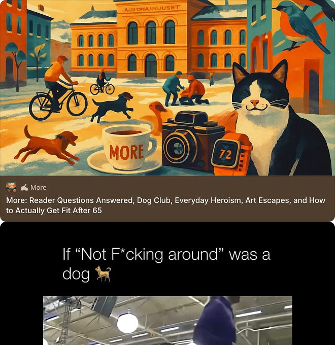 Alexander Verbeek (@theplanet): "This dog wants More:"